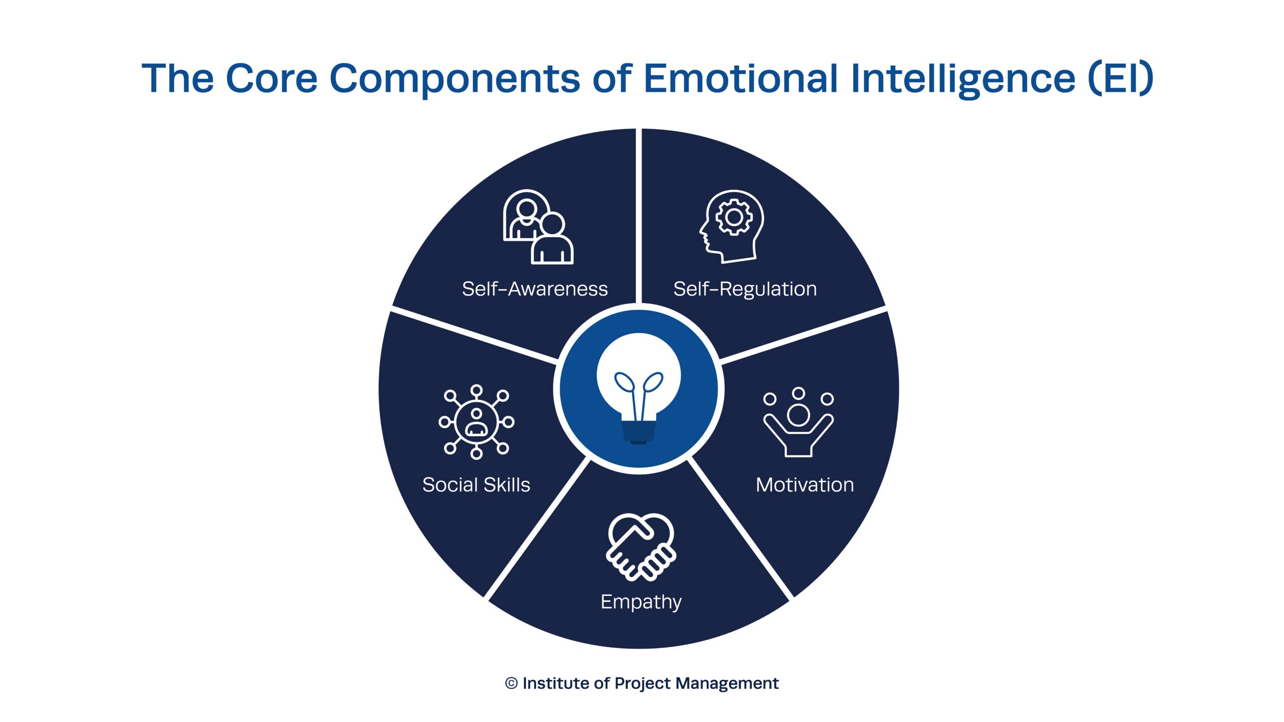 Emotional Intelligence for Effective Project Leadership | IPM